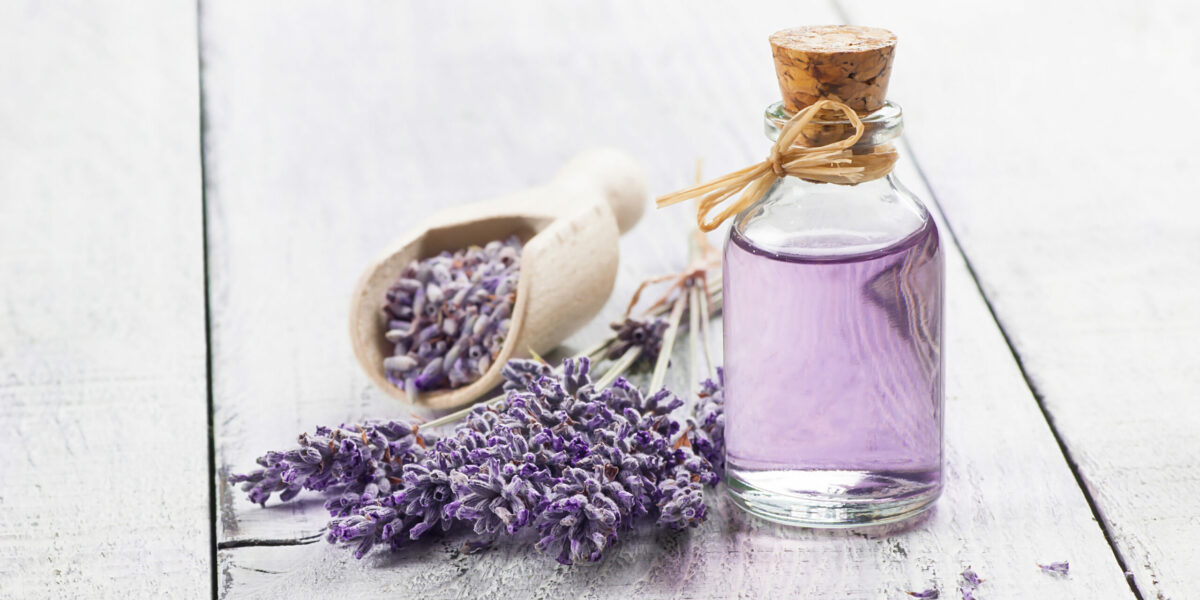 Šta su eterična ulja i kako se prave? | Stadler Form